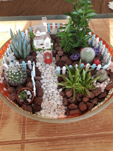 Pin By Ana Cruz On Mini Jardines Miniature Fairy Gardens Fairy Garden Diy Succulent Garden