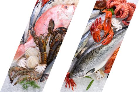 Pesqueiros Directório Comercial