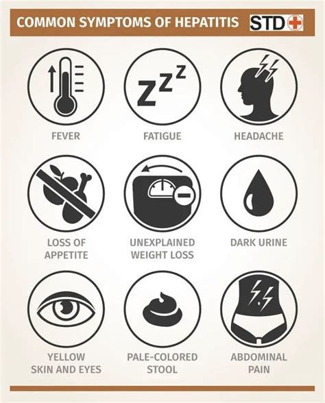 Hepatitis Symptoms Treatment Testing Std Hepatitis