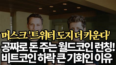공짜로 돈을 주는 월드코인 런칭 일론머스크 트위터 도지 세계금융의 절반이 된다 비트코인 하락이 기회인 이유들 Youtube