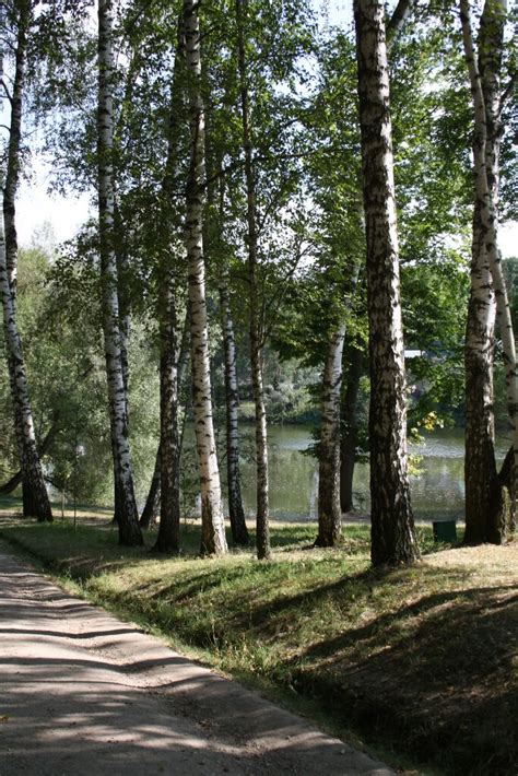 Фото 8857 альбом Ясная Поляна 2014 года 169 фото Фотографии Ольги Бородиной