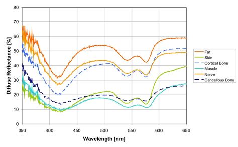Diffuse Reflectance Spectra For Different Hard And Soft Tissues