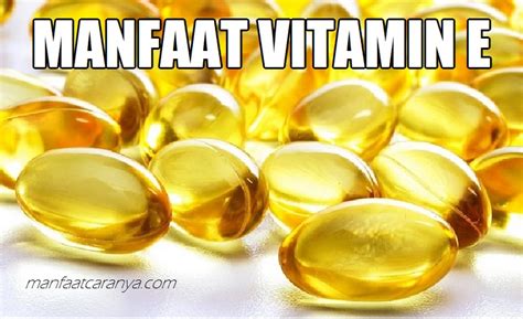 ️ Manfaat Vitamin E Dan Contoh Asupannya Manfaatcaranyacom