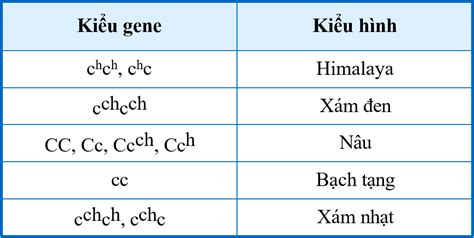 Ở Thỏ Màu Lông Do Một Gene Có Nhiều Allele Quy định Một Nhà Khoa Học