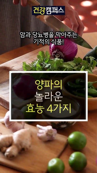암과 당뇨에 너무 좋은 까도까도 나오는 양파의 효능 4가지 암 당뇨 고혈압 양파 하나면 Ok 양파효능 암예방 당뇨관리 슈퍼푸드 건강정보 Youtube