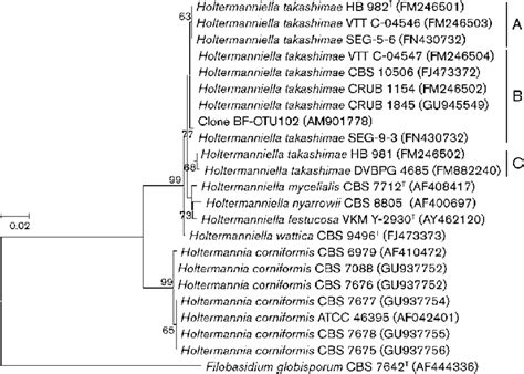 Rdna Sequence Analysis Of Holtermanniella Takashimae Strains Inferred Download Scientific