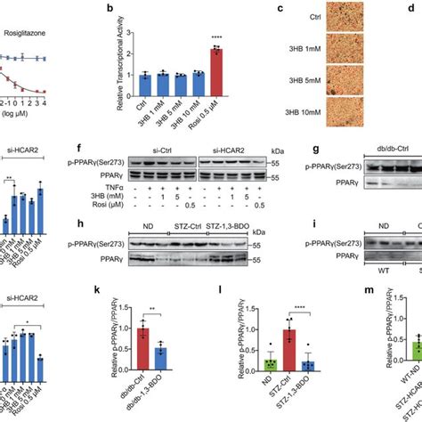 Transcriptomics Analysis For Adipose Tissue Of T2d Mice A After 8