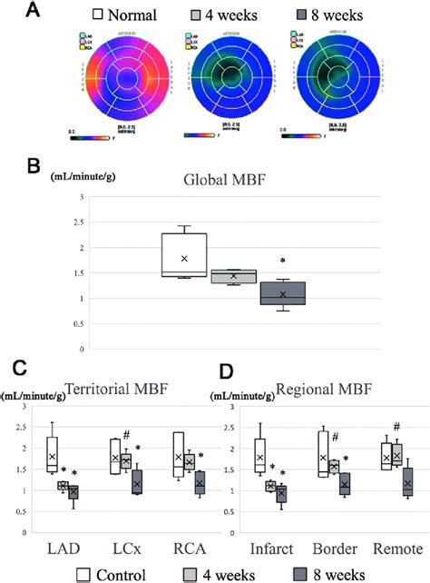 Figure5representative Bullseye Of The Hyperemic Mbf A And Global