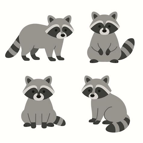 Cute Flat Raccoon Illustration Set Cartoon Character Animal Drawing
