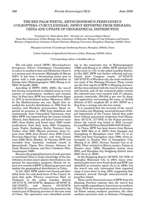 Pdf The Red Palm Weevil Rhynchophorus Ferrugineus Coleoptera Curculionidae Newly Reported