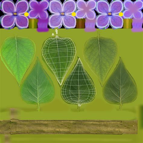 3d Leaf 2 Model