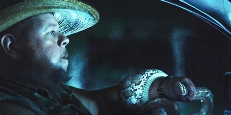 Between ‘swamp People Serpent Invasion And ‘the Python Hunt The