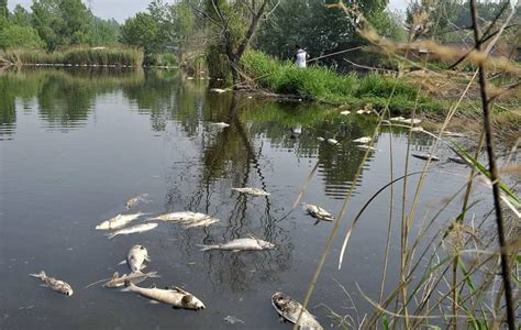 05hp Futi Aquaculture Fish Farming Equipment Water Pump Machine Splash