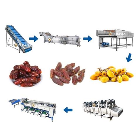 date washing and grading line lonkia