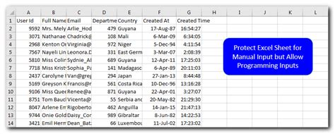 protect excel sheet for manual input but allow programming inputs
