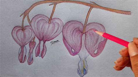 Bleeding Heart Plant Drawing Artificial Bleeding Heart Magenta 100cm