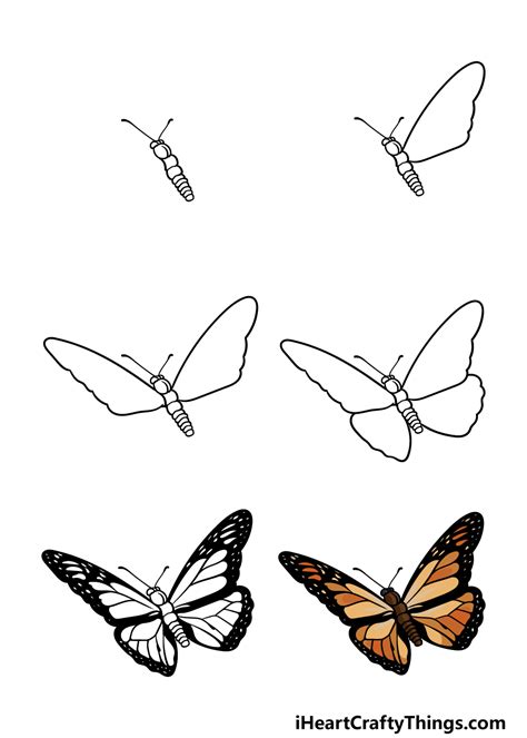 Monarch Butterfly Drawing Easy Step By Step At Linda Fujiwara Blog