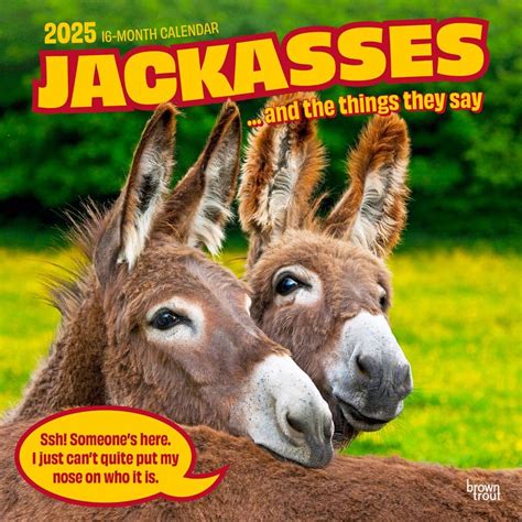 Jackasses 2025 12 X 24 Inch Monthly Square Wall Calendar