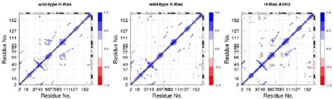 Dynamic Cross Correlation Maps Dccms Reveal The Extent Of Correlation