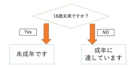 Python if文の条件分岐を解説 練習問題付き DS Media by Tech Teacher