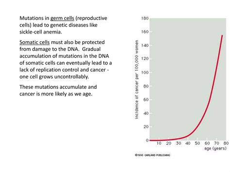Dna Polymerase Proofreading And Processivitypptx
