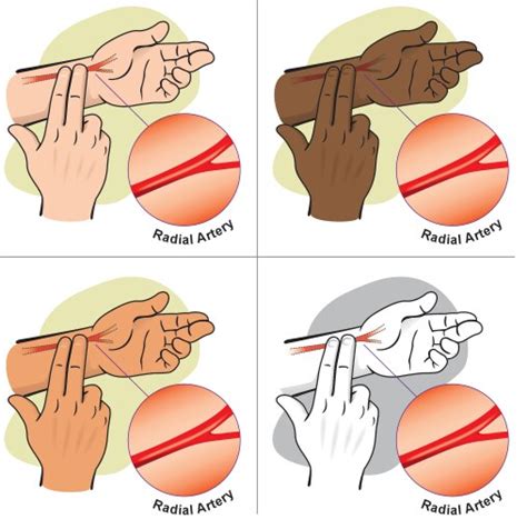 First Aid Hands Doing Dressing Bandage Royalty Free Vector