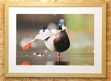 Antoine Jaumain Château De Bousval