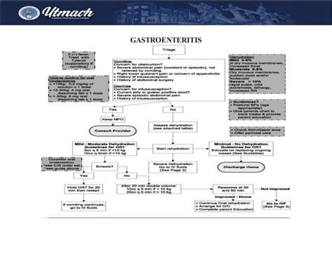 Gastroenteritis Algorithm Docx