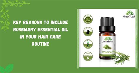 Key Reasons To Include Rosemary Essential Oil In Your Hair Care Routine
