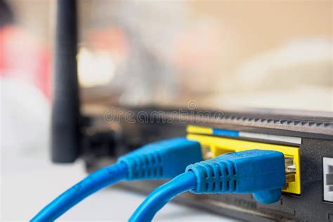 Lan Cable Plug On Router Stock Image Image Of Communication 132756047