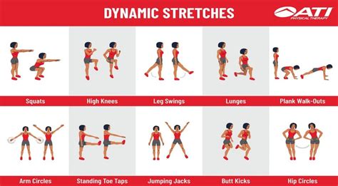 Dynamic Stretching
