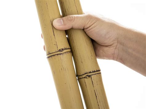 Single Bamboo Pole Texture