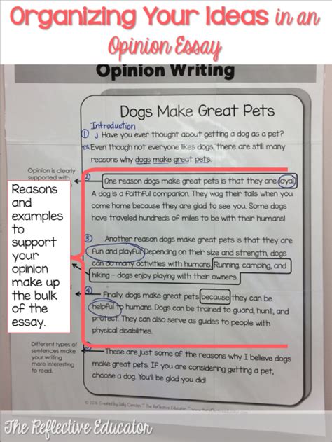 Opinion Writing Reasons And Examples Artofit