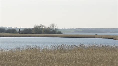 Angelsport Dassow Tor Zur Ostsee
