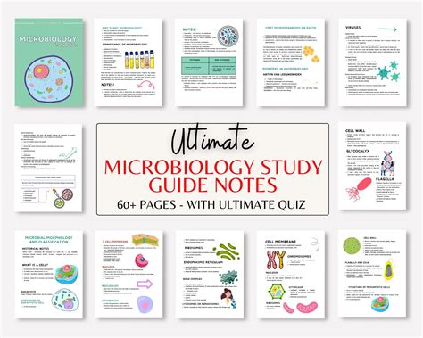 Version 1 Complete Microbiology Masterclass Cheat Sheet Notes Perfect