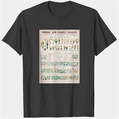 Vintage Botanical Chart Classification Of Plants T Shirt