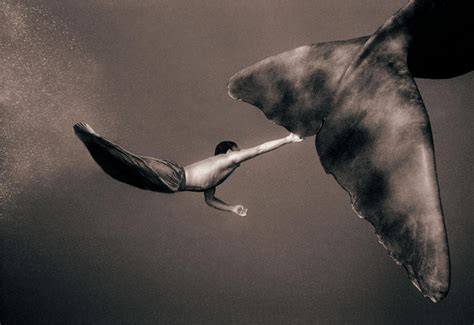 Ashes And Snow Gregory Colbert