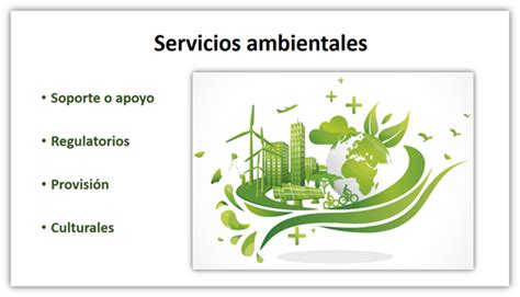 Servicios Ambientales Que Ofrecen Las Regiones Naturales De México