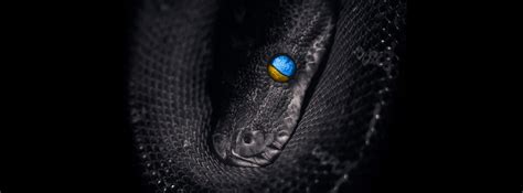 7 Handy Python Web Development Frameworks You Should Start Using Today