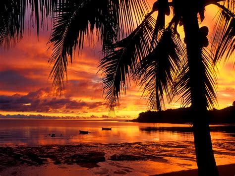 🔥 100 Tropical Island Sunset Wallpapers Wallpapersafari