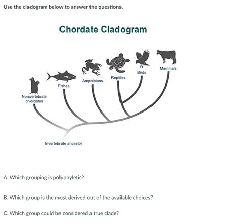 Solved Use The Cladogram Below To Answer The Questions