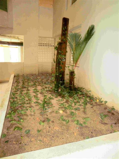 Desa Putra Condominium Volunteers Of Desa Putra