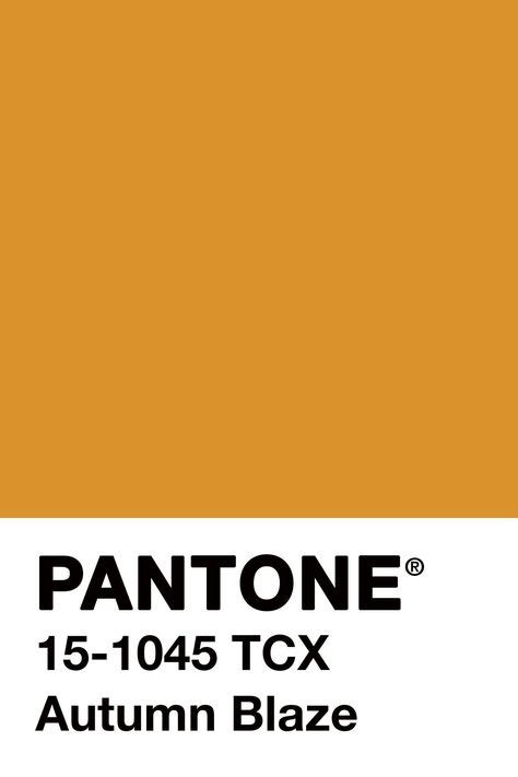 Pantone Mustard