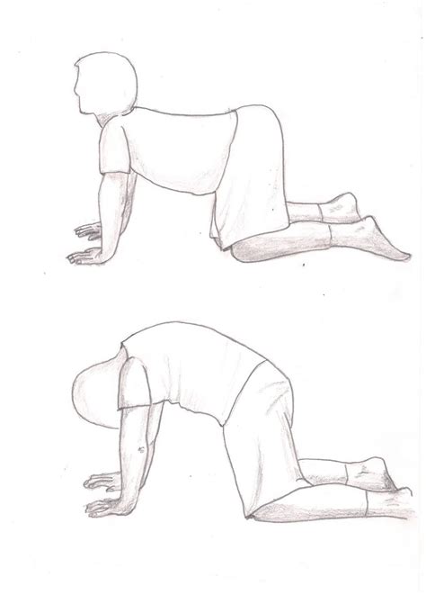 Estiramientos Dorsales Drjordijimenez