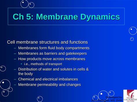 Pdf Ch 5 Membrane Dynamics Las Positas Collegelpc1