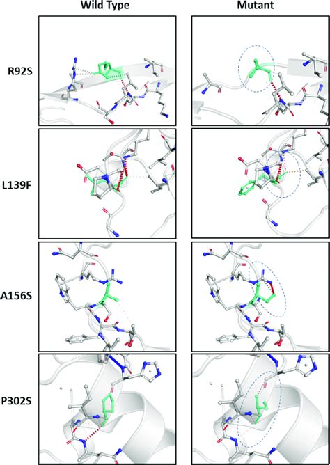 Visual Representation Of Close Range Intramolecular Interactions