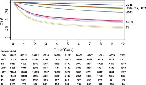 Bladder Cancer Staging