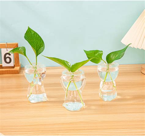 Mkono Propagation Vases For Plants Set Of 5 Small Glass