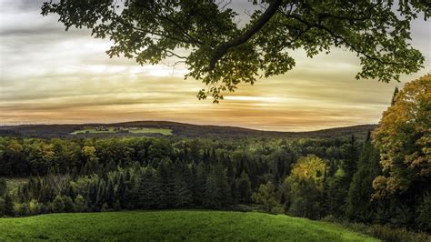 825156 Canada Sunrises And Sunsets Quebec Swamp Grass Sun Rare