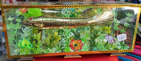 Brass Fish 65 Inch My Odisha Products